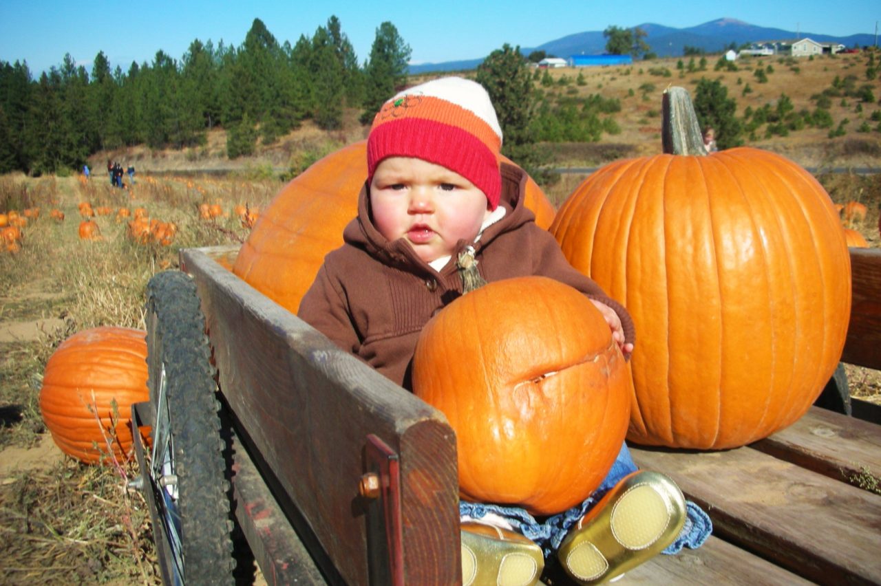 Festivals | Walters Fruit Ranch