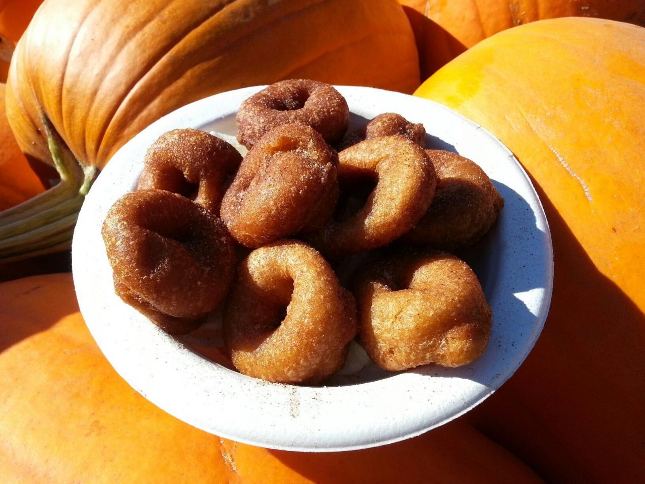 Festivals | Walters Fruit Ranch